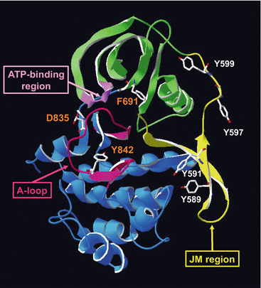 FLT3 Inhibitors | SpringerLink