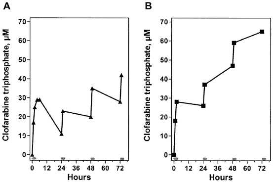Clofarabine: Structure, Mechanism of Action, and Clinical Pharmacology ...