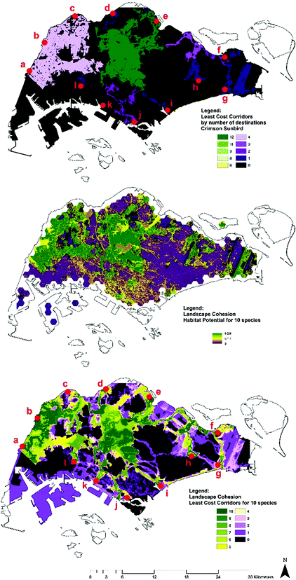 Urban Ecological Networks for Biodiversity Conservation in Cities ...