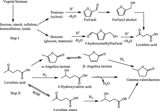 Production of γ-Valerolactone from Biomass | SpringerLink