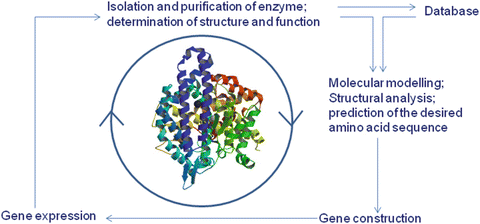 Enzyme Engineering | SpringerLink