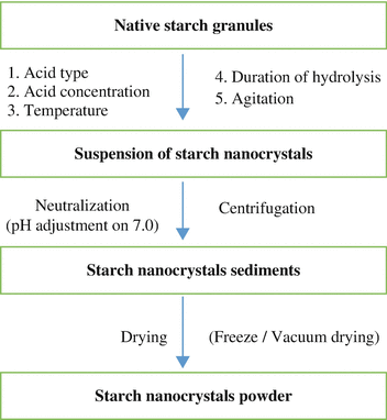 Starch Nanoparticles: Their Preparation and Applications | SpringerLink