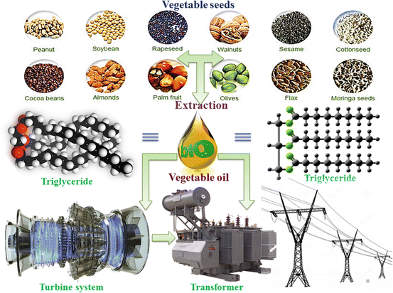 Green Fluids from Vegetable Oil: Power Plant | SpringerLink