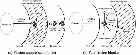 Neutronics Design Principles of Fusion-Fission Hybrid Reactors | SpringerLink