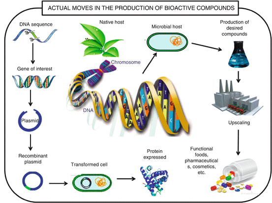 Molecular Farming Approach Towards Bioactive Compounds | SpringerLink