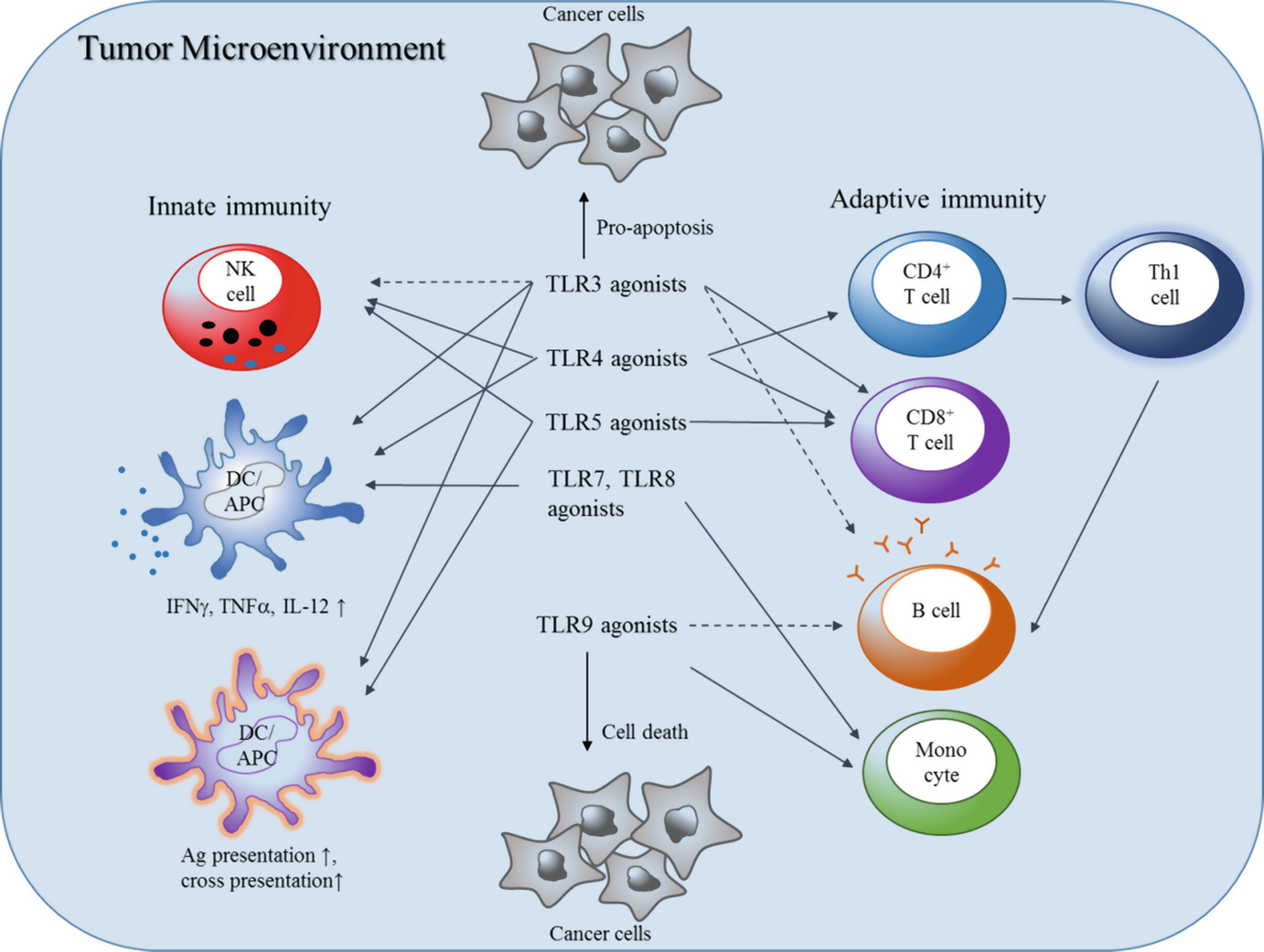TLR Agonists as Adjuvants for Cancer Vaccines | SpringerLink