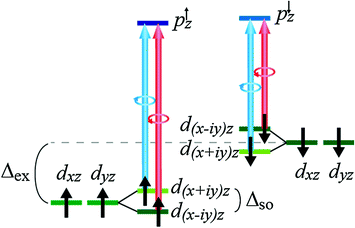 Surface Magneto-Optic Kerr Effect | SpringerLink