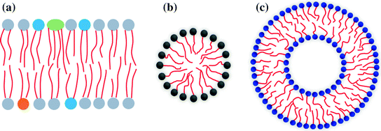 Lipid Cubic Phase for Membrane Protein X-ray Crystallography | SpringerLink