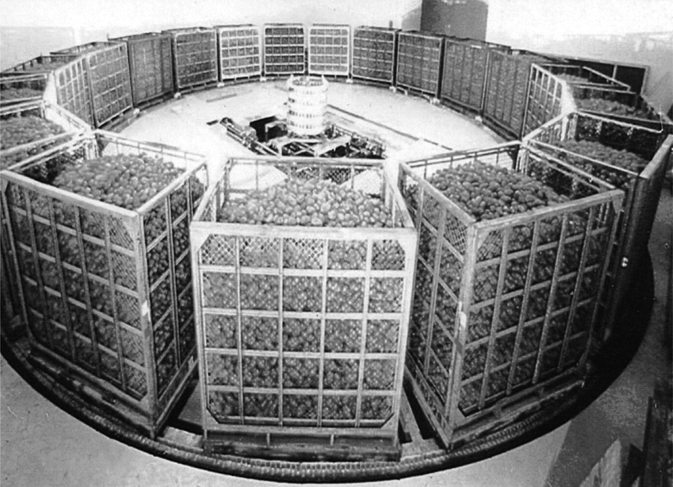 Food Irradiation: Radiation-Based Sterilization, Insecticidal, and ...