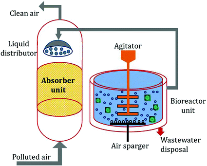 Bioremediation of Volatile Organic Compounds in Biofilters | SpringerLink