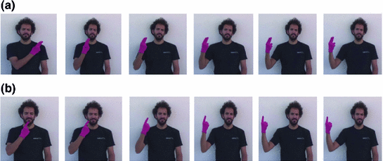 Real-Time Sign Language Gesture (Word) Recognition from Video Sequences ...