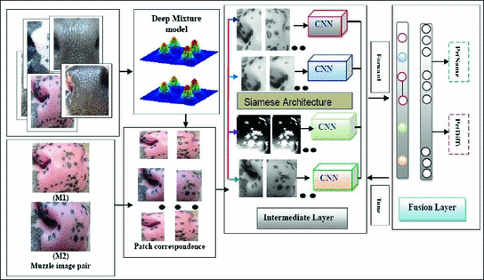 Deep Learning Framework for Recognition of Cattle Using Muzzle Point Image Pattern | SpringerLink