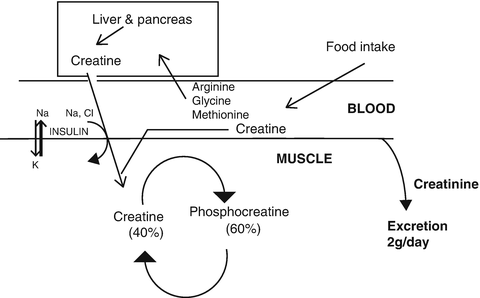 To Estimate Creatinine Level in Serum and Urine by Jaffe’s Reaction ...