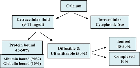 Estimation of Total Calcium in Serum and Urine | SpringerLink