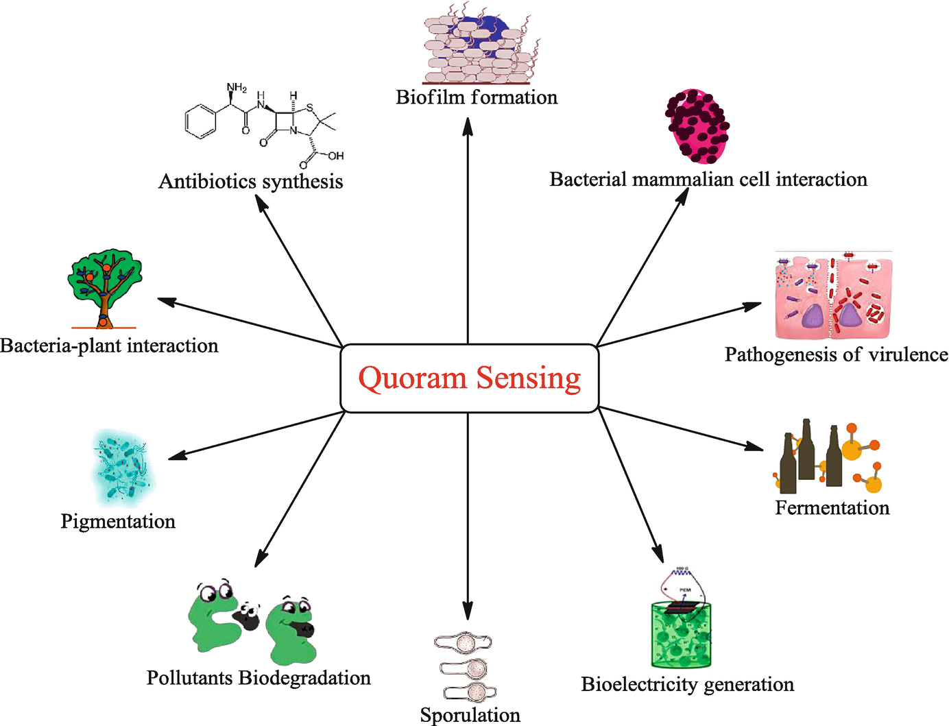 Modern Approaches in Synthetic Biology: Genome Editing, Quorum Sensing ...