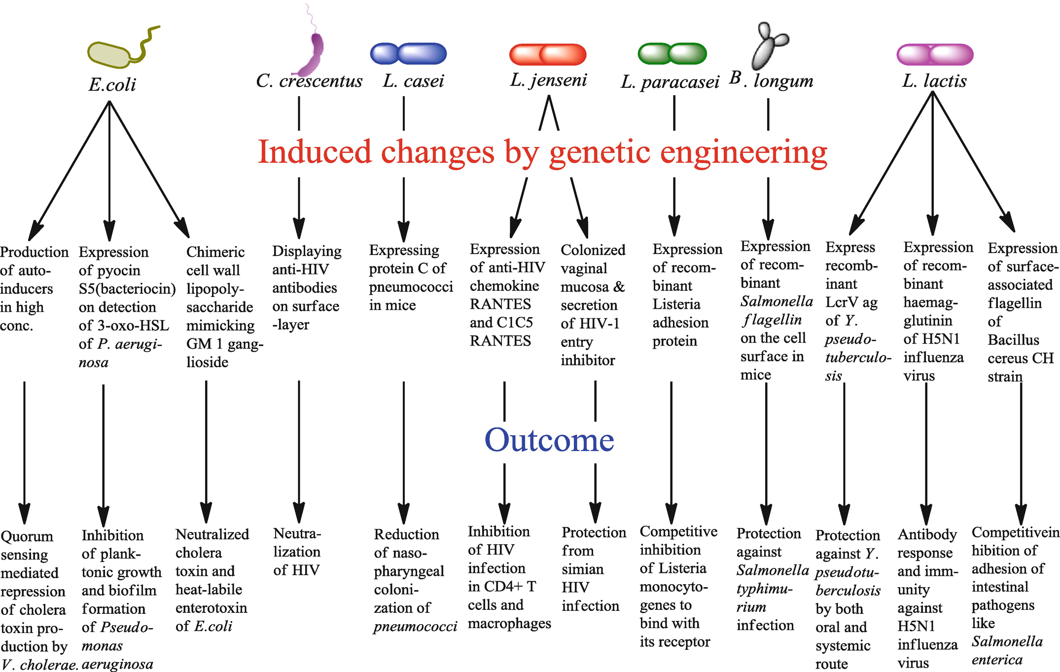 Modern Approaches in Synthetic Biology: Genome Editing, Quorum Sensing ...