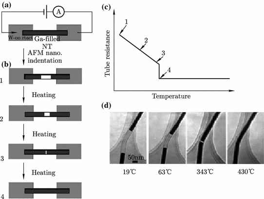 In Situ TEM: Theory and Applications | SpringerLink