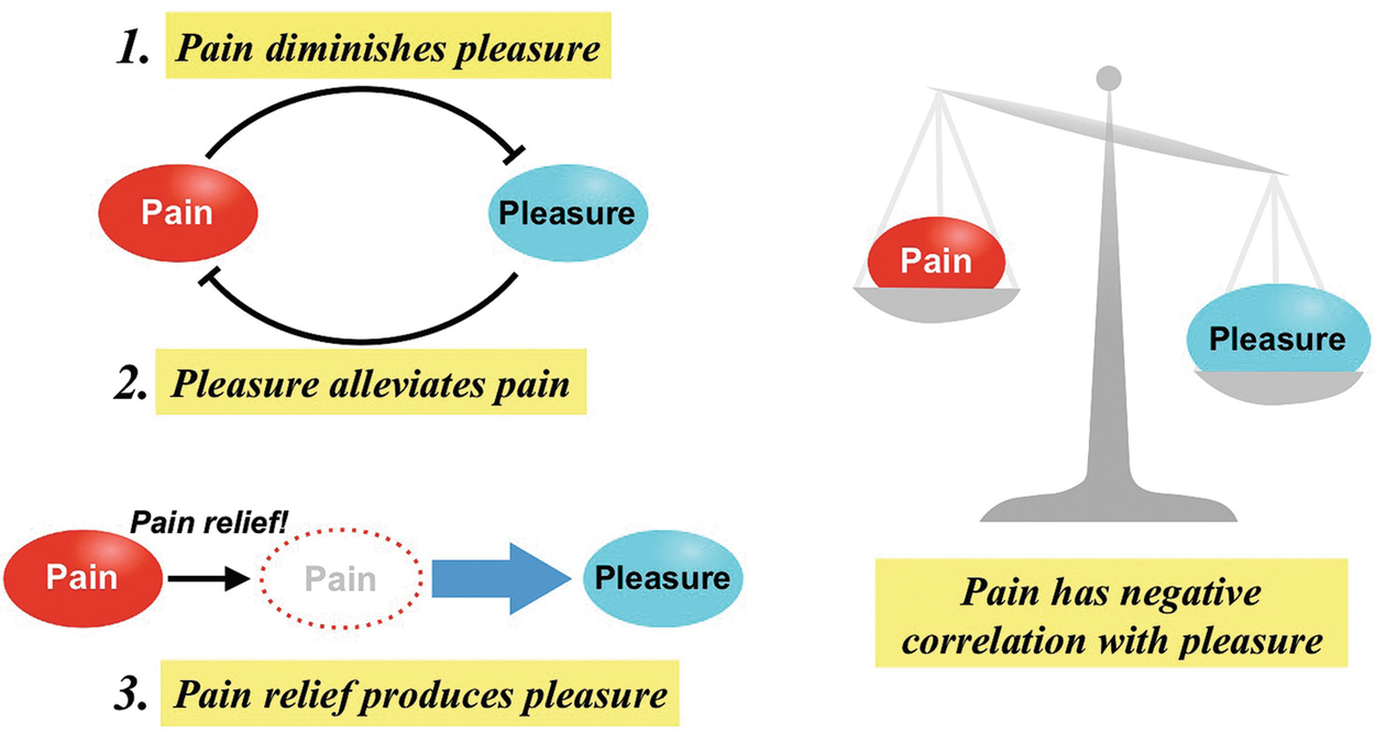 Brain Reward Circuit and Pain | SpringerLink