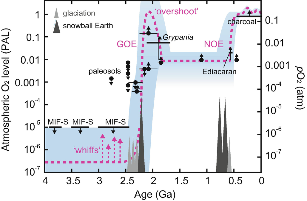 The Greatest Show On Earth Evidence For Evolution Epub - The Earth ...