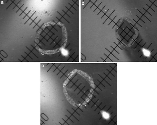 Shape Memory Fibers | SpringerLink