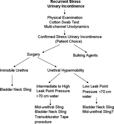 Suburethral Sling Failures and Complications | SpringerLink