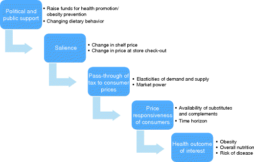 Fat Taxes and Thin Subsidies as Obesity Policy | SpringerLink