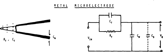 Extracellular Single-Unit Recording Methods | SpringerLink