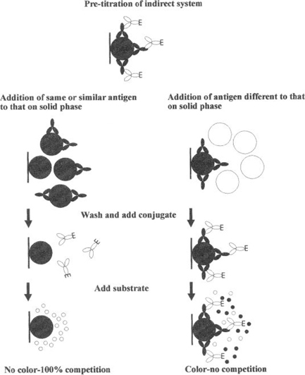 Basic Principles of ELISA | SpringerLink