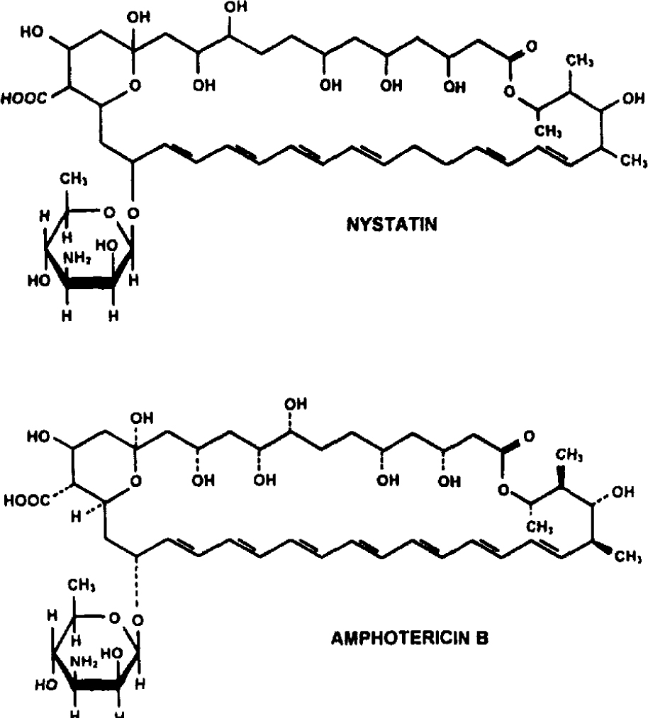 Perforated Patch-Clamp Technique | SpringerLink