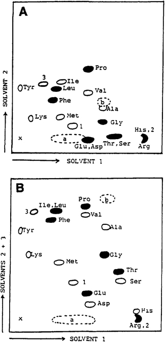 The Dansyl Method for Identifying N-Terminal Amino Acids | SpringerLink