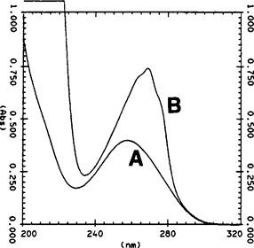 Spectrophotometric Analysis of Nucleic Acids | SpringerLink