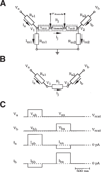 Dual Patch Clamp | SpringerLink