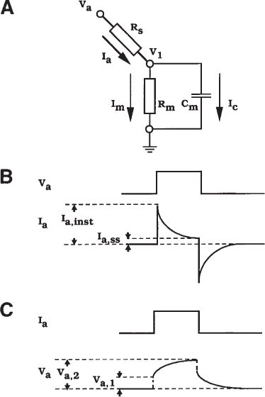 Dual Patch Clamp | SpringerLink