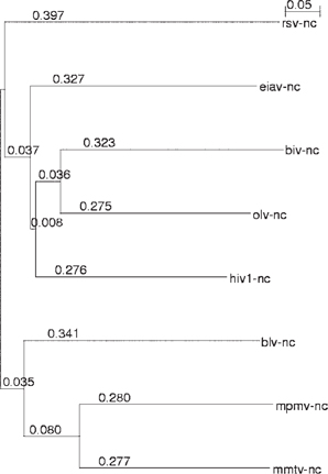 The Use of CLUSTAL W and CLUSTAL X for Multiple Sequence Alignment | SpringerLink