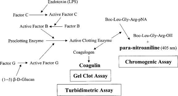 Assay of Endotoxin by Limulus Amebocyte Lysate | SpringerLink
