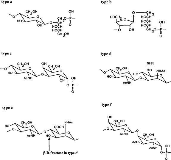 The Pathogenesis of Disease Due to Type b Haemophilus influenzae ...