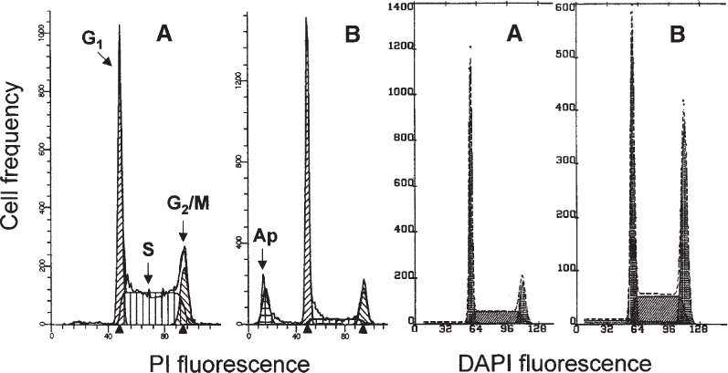 Analysis of Cell Cycle by Flow Cytometry | SpringerLink