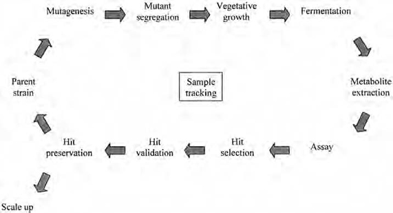 Development of Improved Strains and Optimization of Fermentation ...