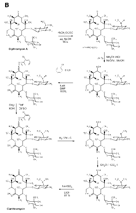 Production of Erythromycin With Saccharopolyspora erythraea | SpringerLink