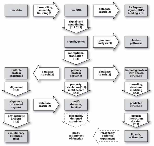 Bioinformatic Tools for Gene and Protein Sequence Analysis | SpringerLink