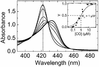 Probing Heme Protein-Ligand Interactions by UV/Visible Absorption ...