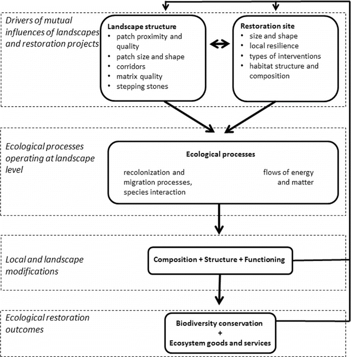 Landscape Ecology and Restoration Processes | SpringerLink