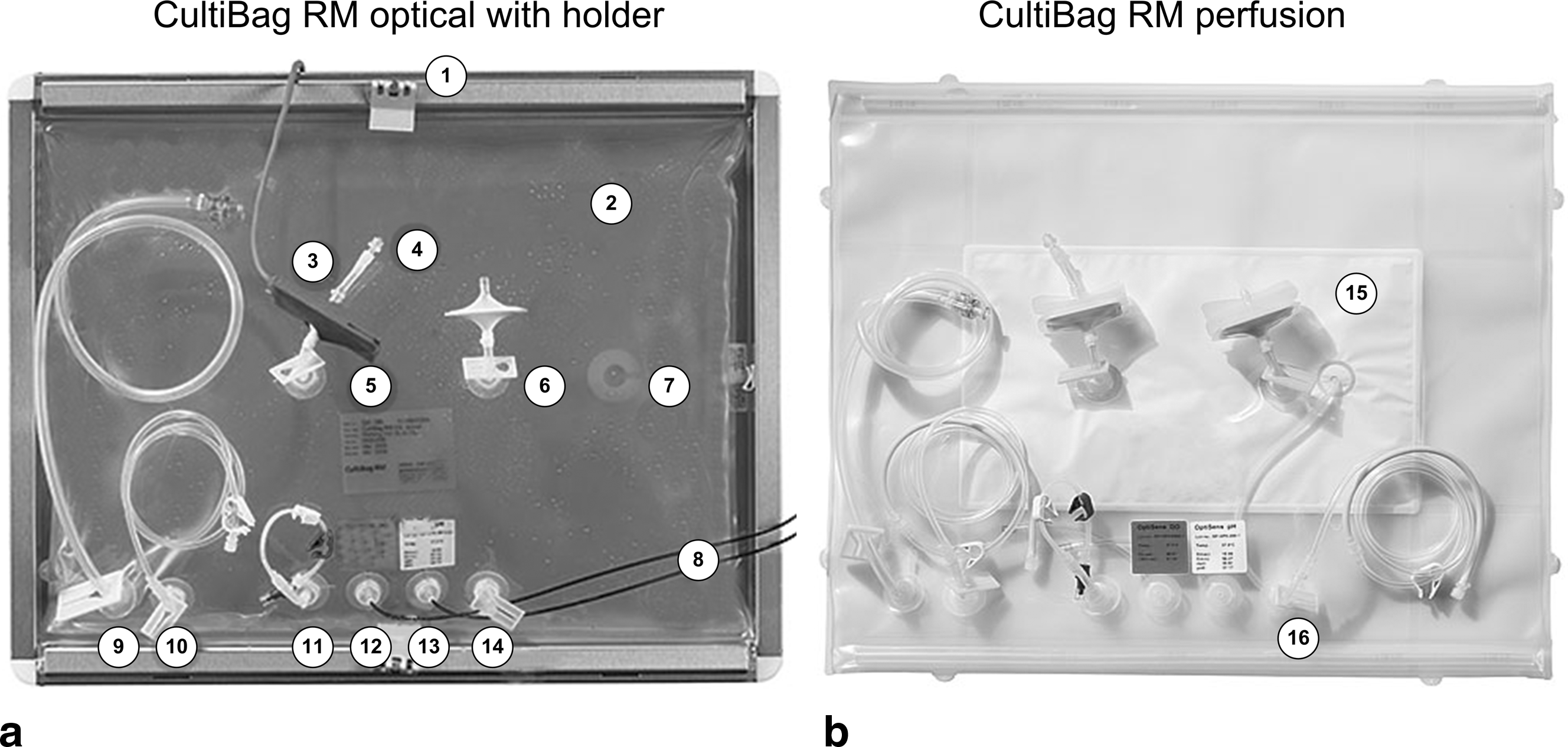 Bag Bioreactor Based on Wave-Induced Motion: Characteristics and ...