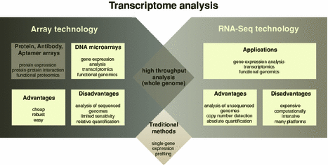 Transcriptome Analysis | SpringerLink