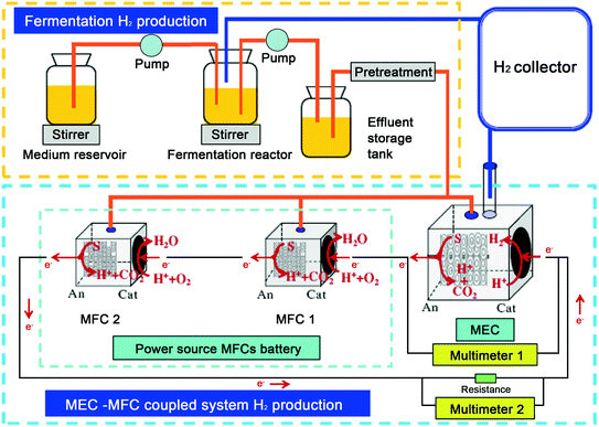 Biohydrogen Production from Anaerobic Fermentation | SpringerLink