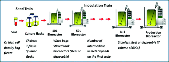 Equipment for Large-Scale Mammalian Cell Culture | SpringerLink
