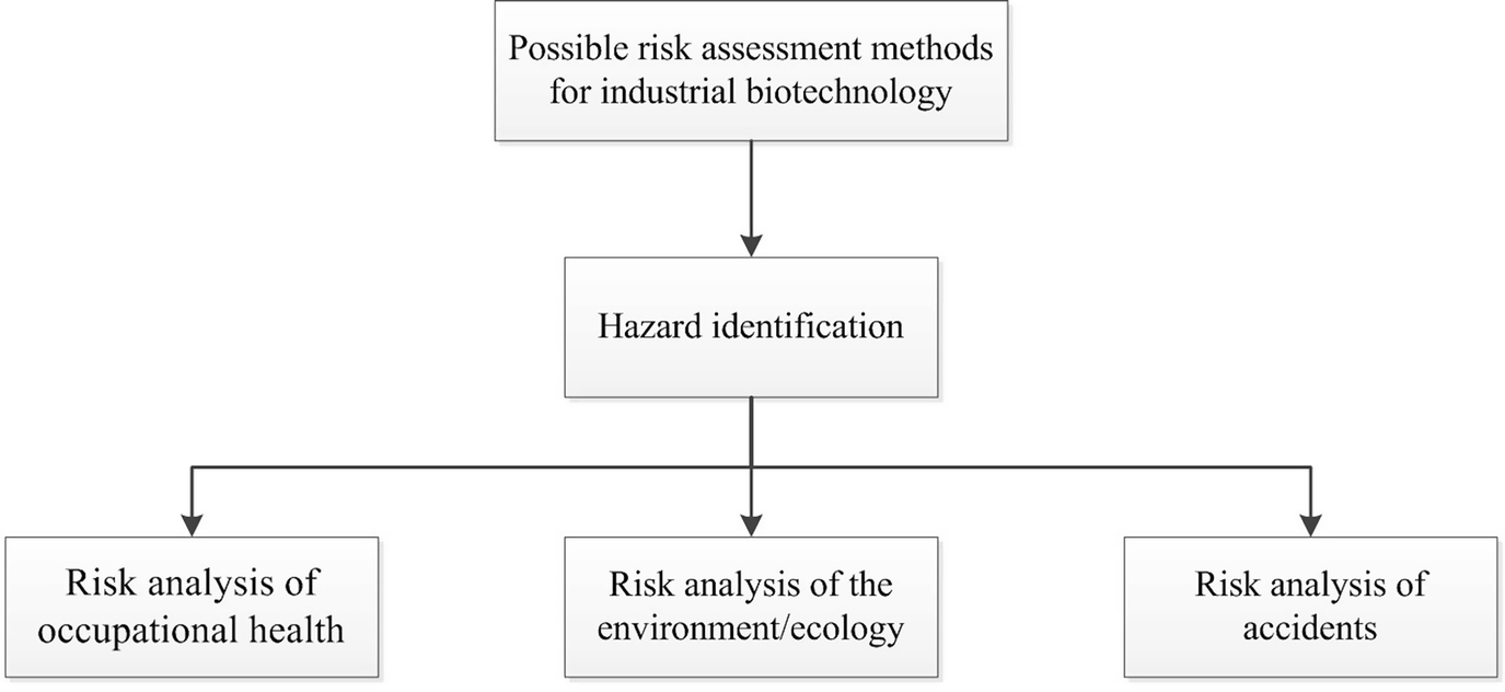 Risk Assessment of Processes and Products in Industrial Biotechnology ...