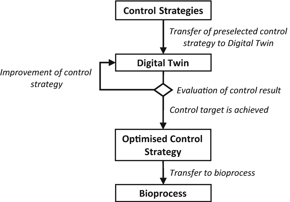 Digital Twins for Bioprocess Control Strategy Development and ...