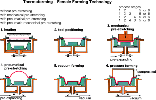 Ecoflex® and Ecovio®: Biodegradable, Performance-Enabling Plastics ...