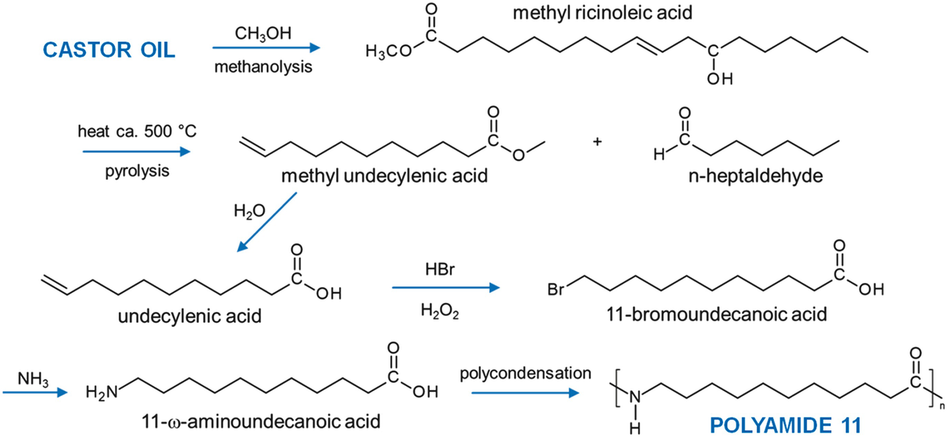 Thermal Properties of Biobased Polyamide 11 | SpringerLink
